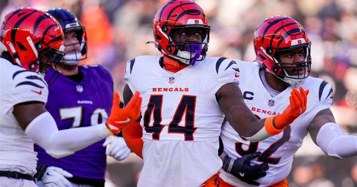 Gamecocks in the NFL: Week 15