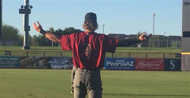 Recent Gamecocks enjoying early success in pro baseball