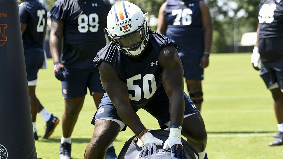 Newcomer Marcus Harris impressive as Auburn looks for 'operational ...