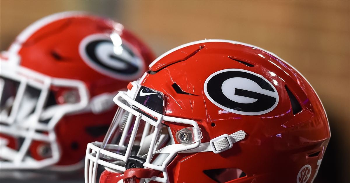 Georgia linebacker Jermaine Johnson enters transfer portal