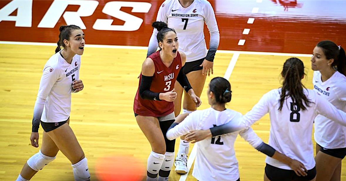 This Week in WSU Volleyball with Jen Greeny: Dawgs up tonight