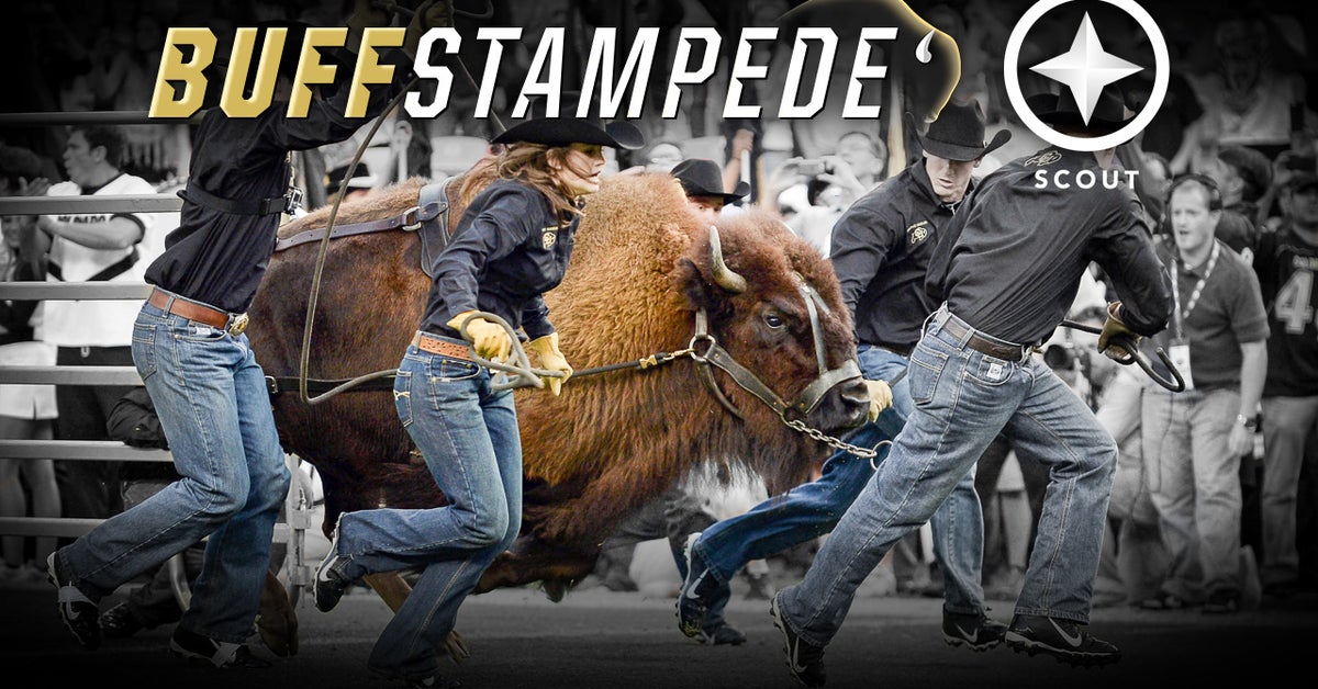 BuffStampede.com is now on Scout