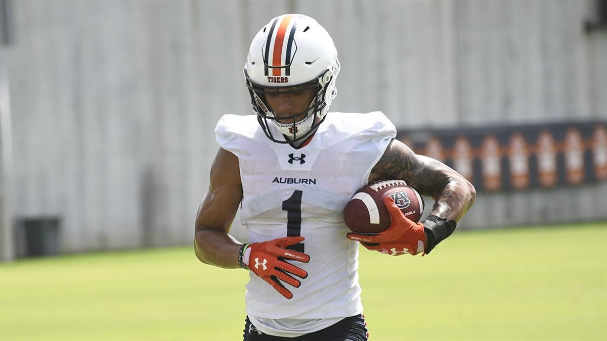 IN PHOTOS: Auburn preseason practice gallery 2
