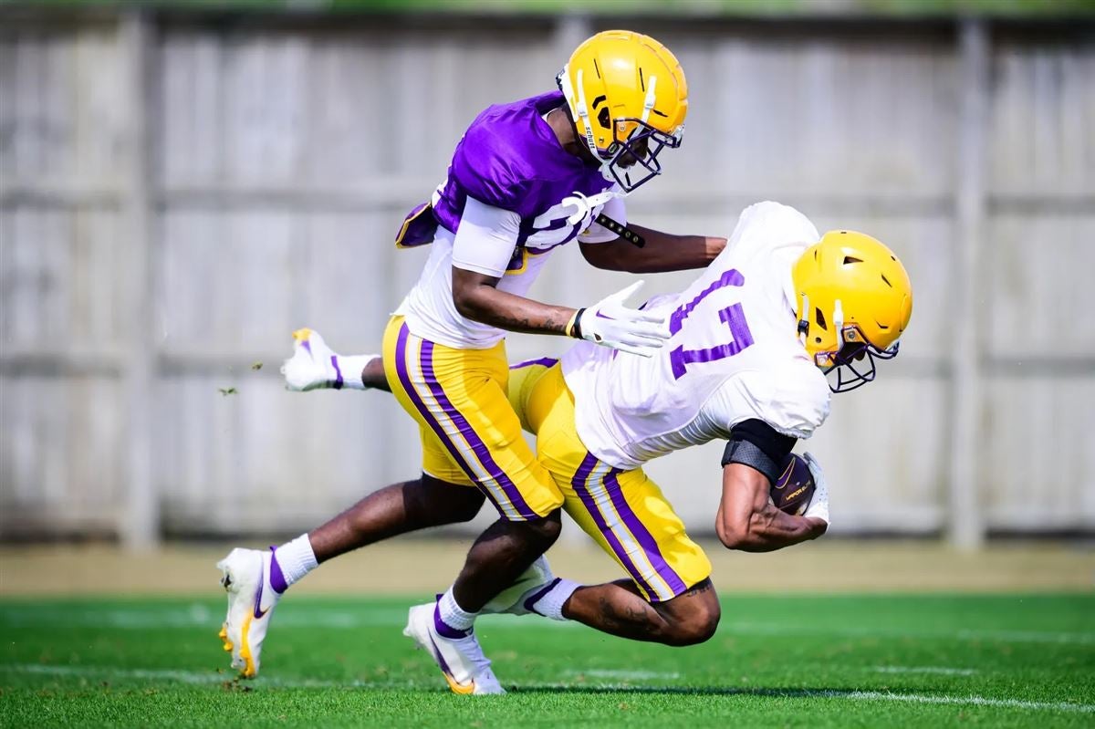LSU transfer Zy Alexander hopes to lead Tigers secondary to prosperity ...