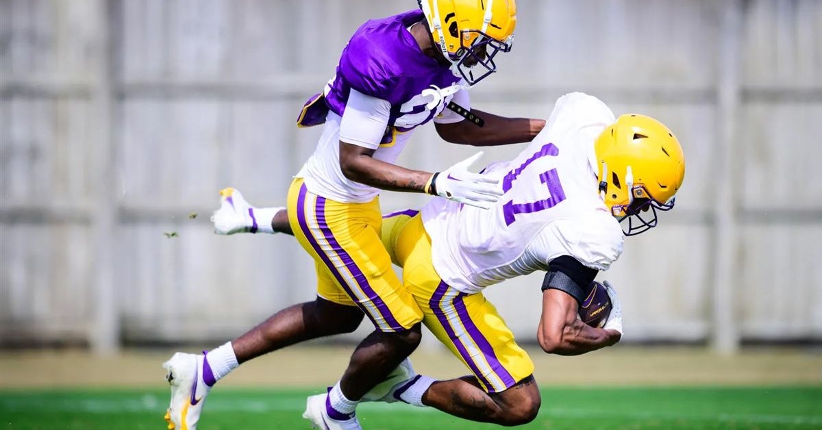 LSU transfer Zy Alexander hopes to lead Tigers secondary to prosperity ...