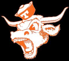 What alternative flair(s) would you like to see available for your team ...